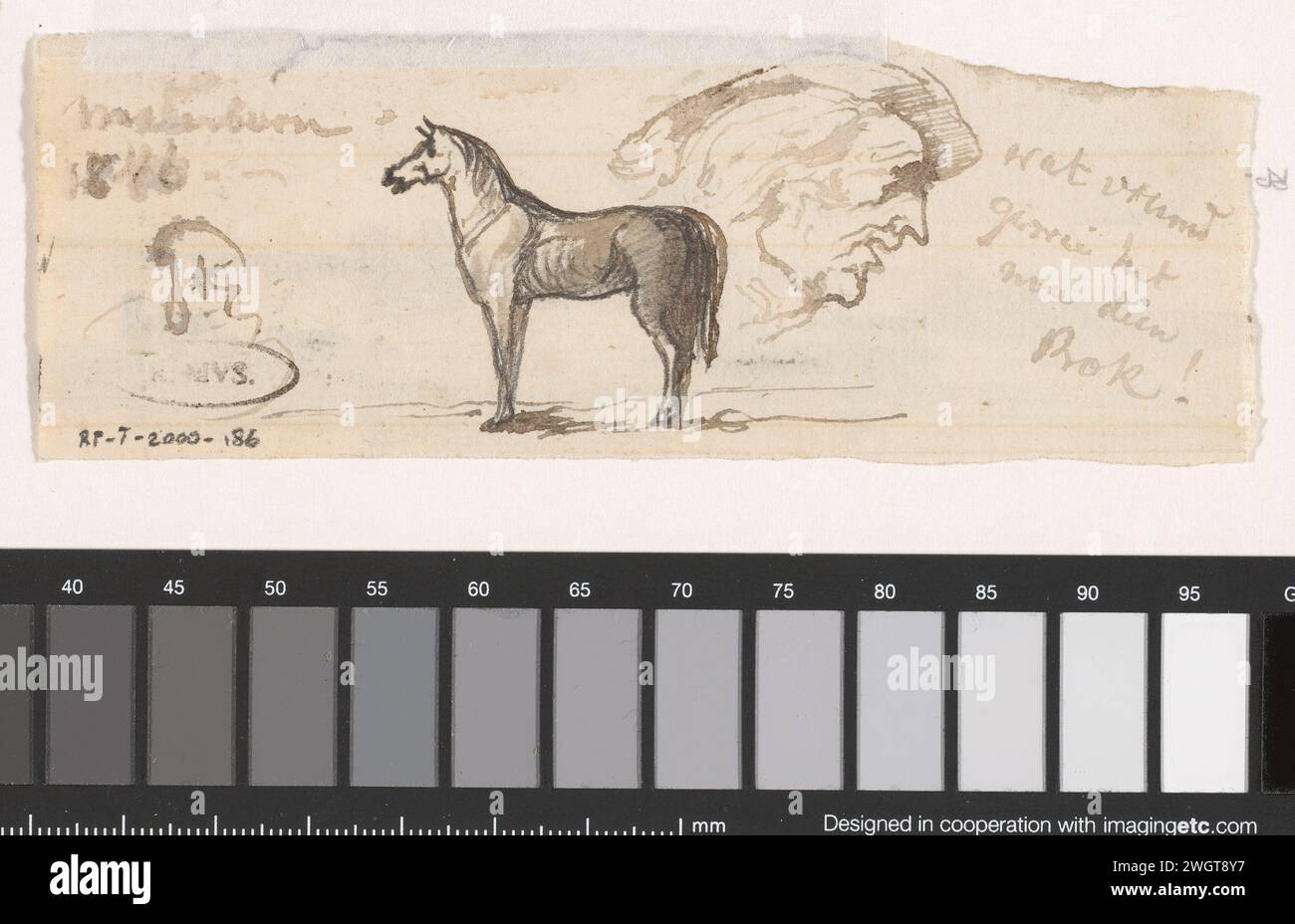 Horse and Kop, Johannes Taventrate, 1840 - 1880 drawing Sketches of a ...