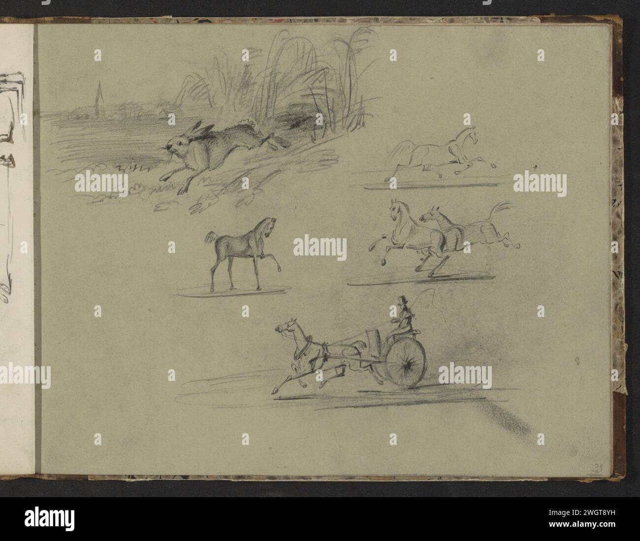 Hare and horse hi-res stock photography and images - Alamy