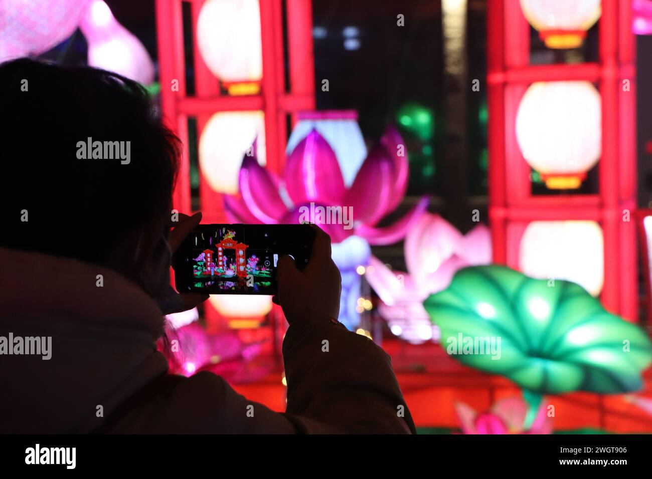 Tourists are visiting the 43rd Baotu Spring Lantern Fair in Jinan ...