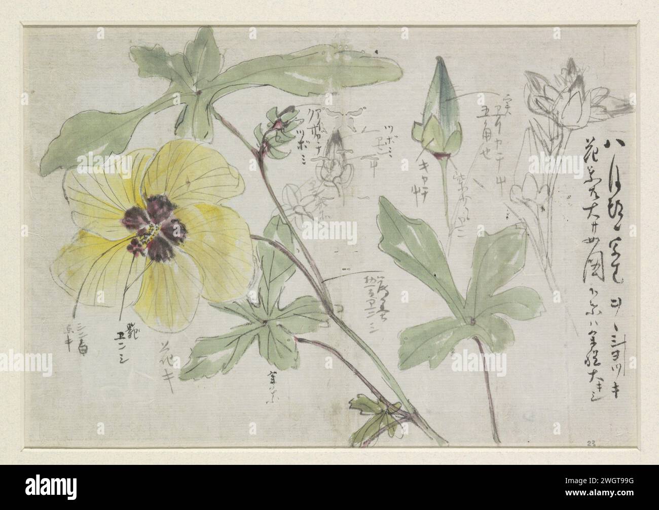 Sketch magazine with Malve, Ishikawa Kazan, 1800 - 1900 drawing ...