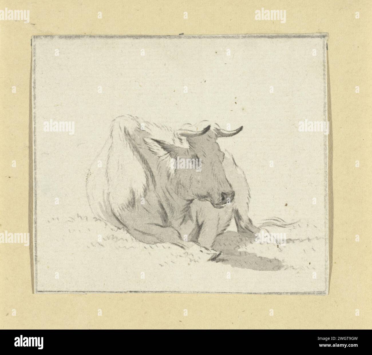 Lying cow, from before, Pieter Gaal, 1779 - 1819 drawing paper. chalk ...