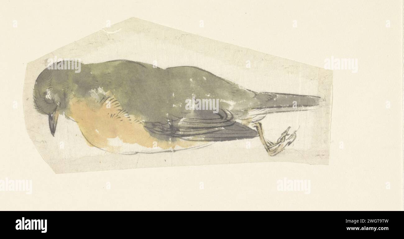 DODE ROODBORST, Yamamoto SHINRYO Baiitsu, 1800-1900 drawing paper ...