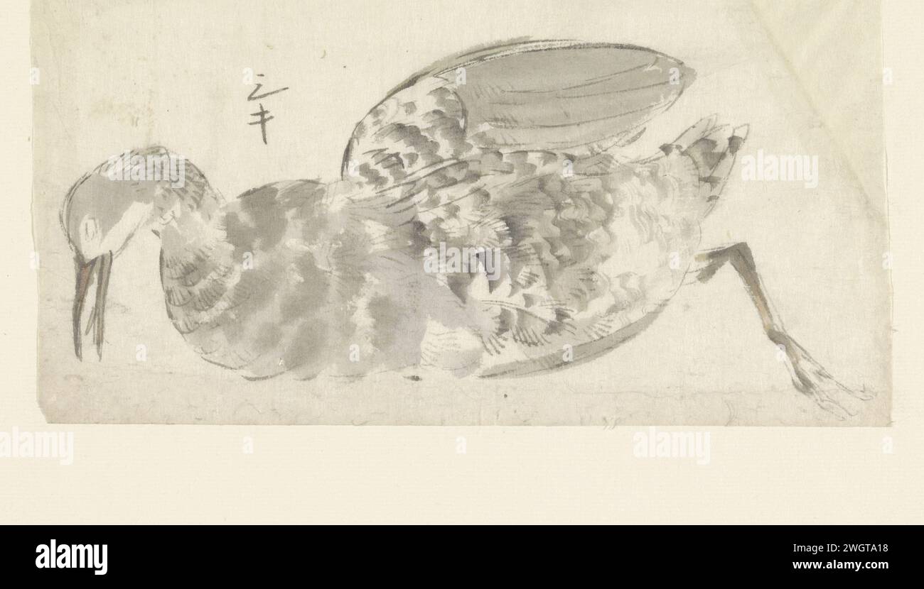 DODE WATERVOGEL, YAMAMOTO SHINRYO Baiitsu (Possible), 1800-1900 drawing ...