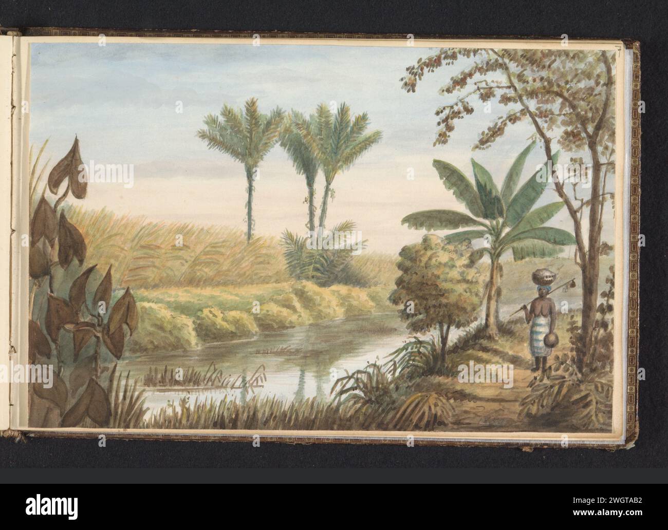 View of the field with sugar cane plantation Visserszorg, Jacob Marius ...