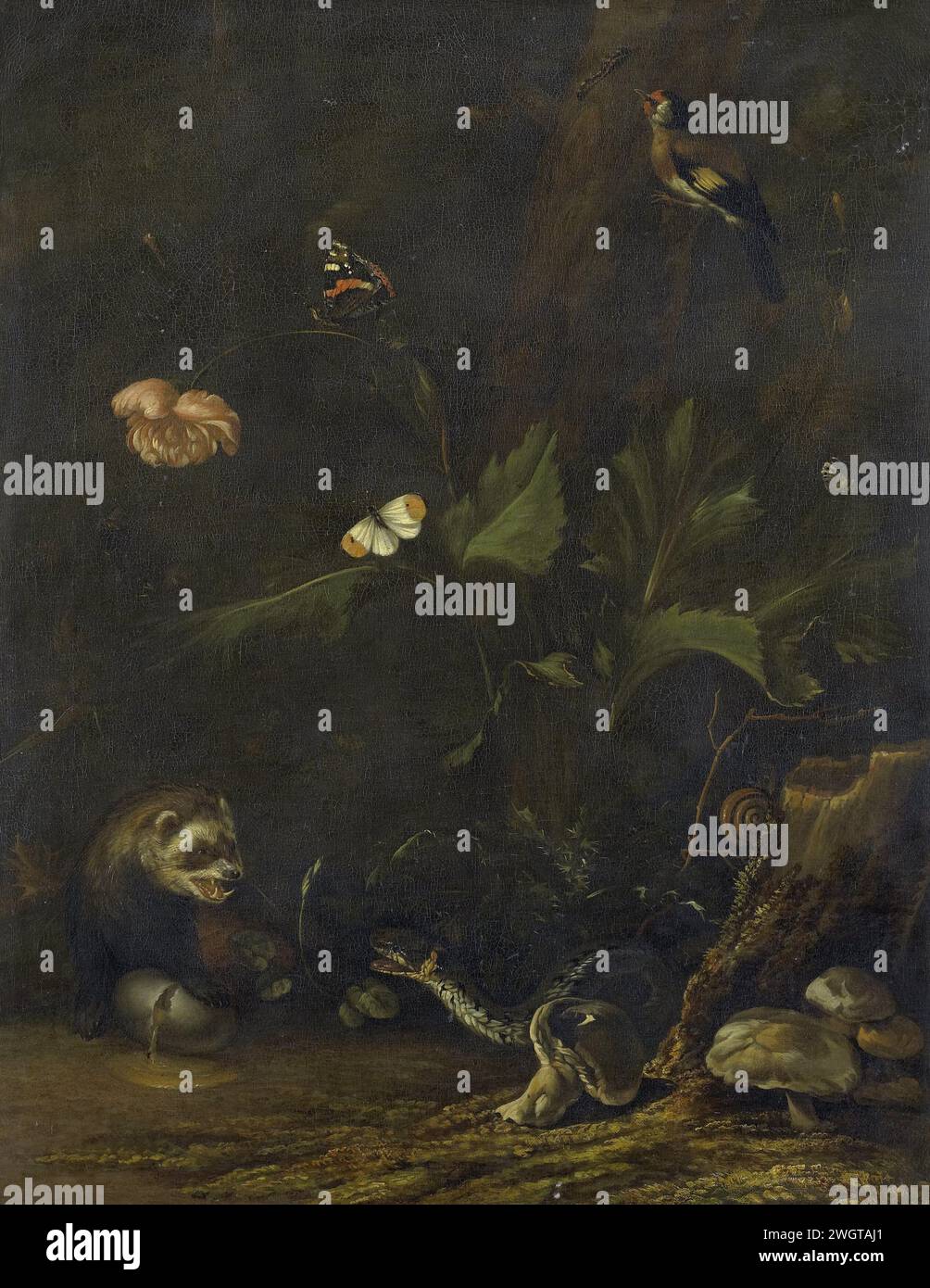 Animals and Plants, Anthonie van Borssom, 1650 - 1677 painting Animals ...