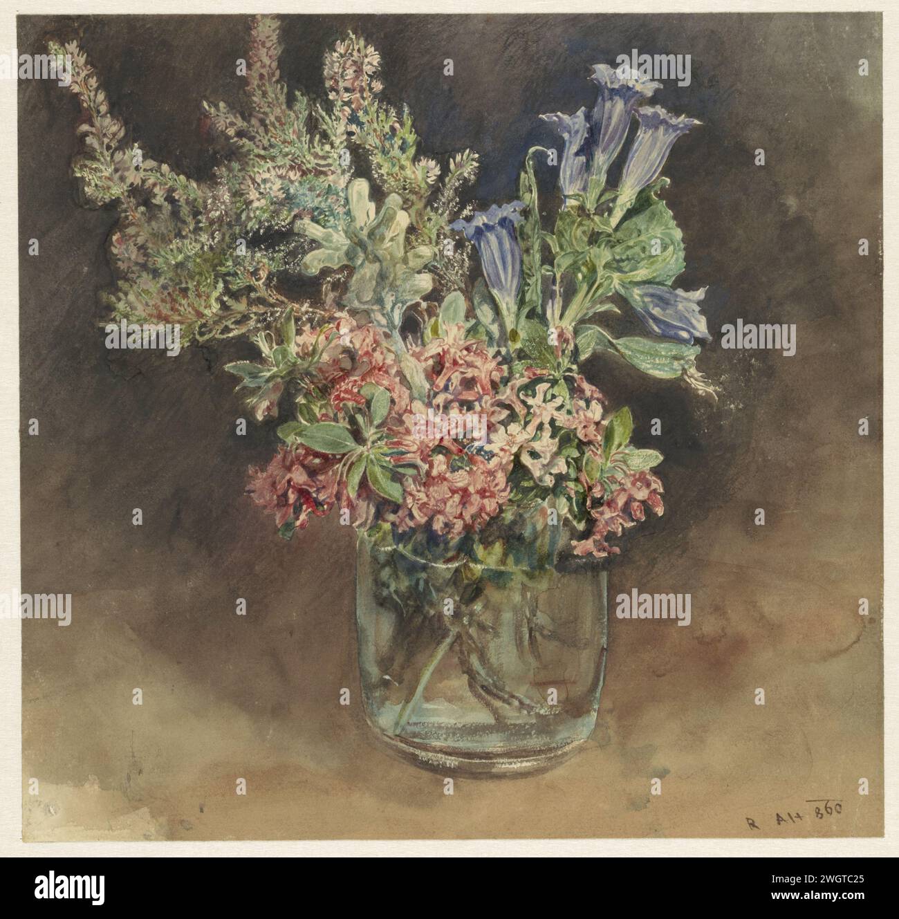 Glass Met Alpenbloemen, Rudolf von Alt, 1860 drawing paper. watercolor ...