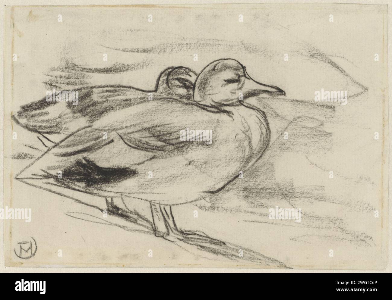 Two Ducks, Theo Van Hoytema, 1873 - 1917 drawing paper. chalk water ...