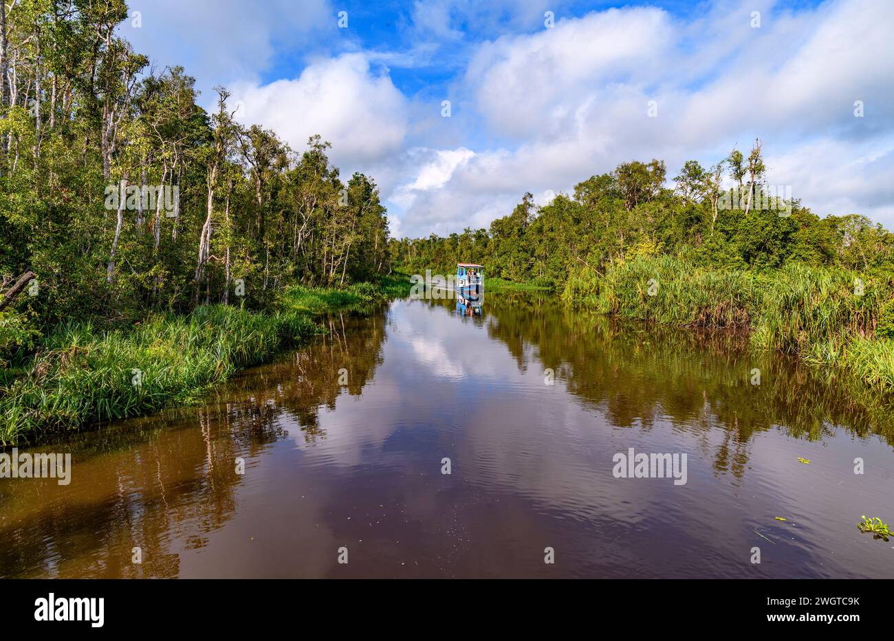 Live-aboard riverboat on Sekonyer River, Tanjung Puting National Park ...