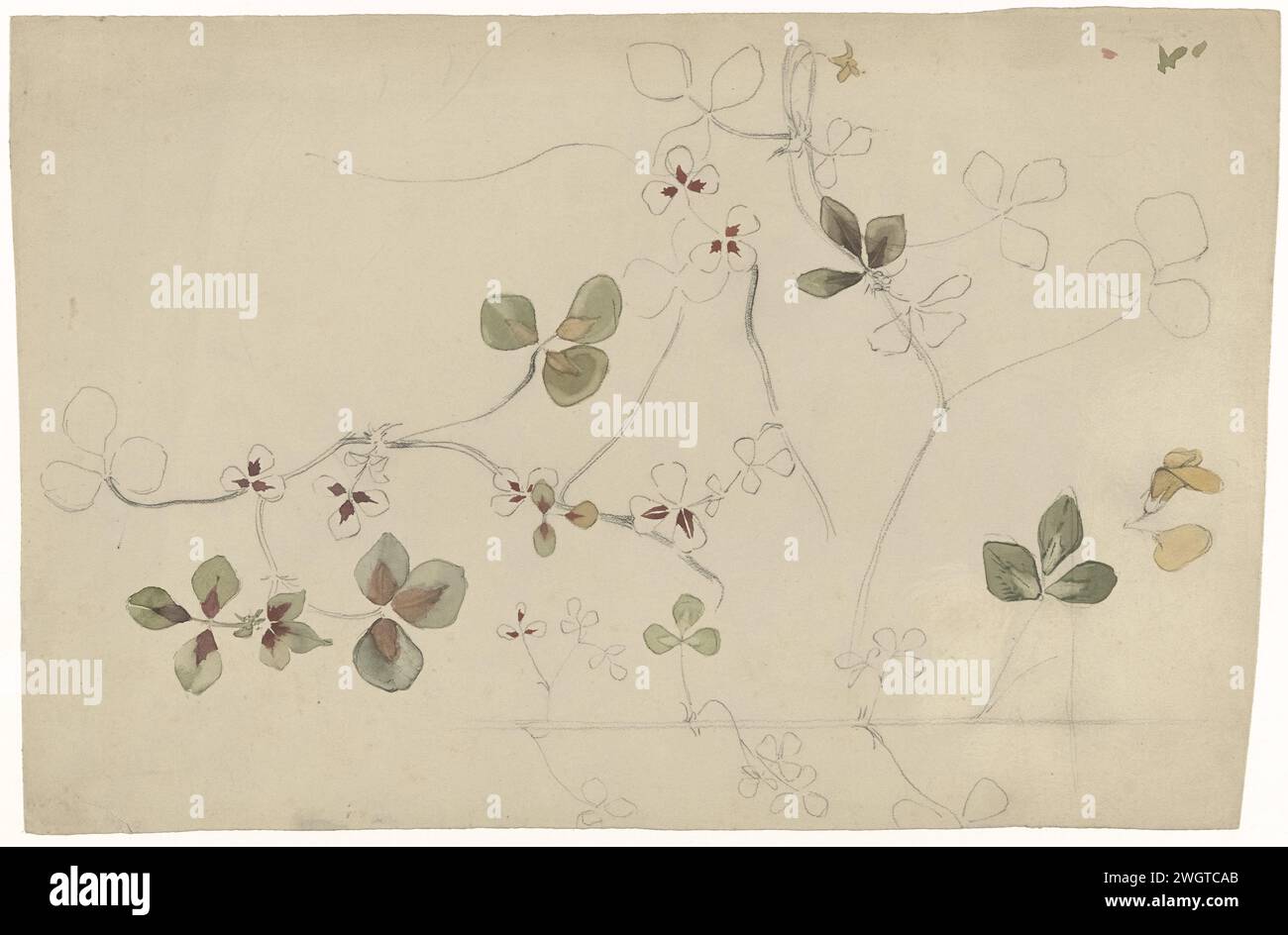 Study magazine with butterfly flower, Antoon Derkinderen, 1869 - 1925 ...