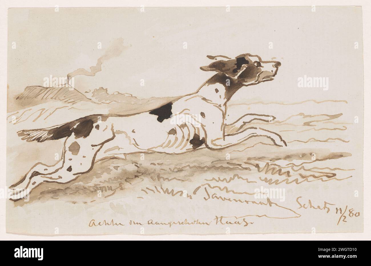Behind a tipsy Haas, Johannes Tavenraat, 1880 drawing Hunting dog ...