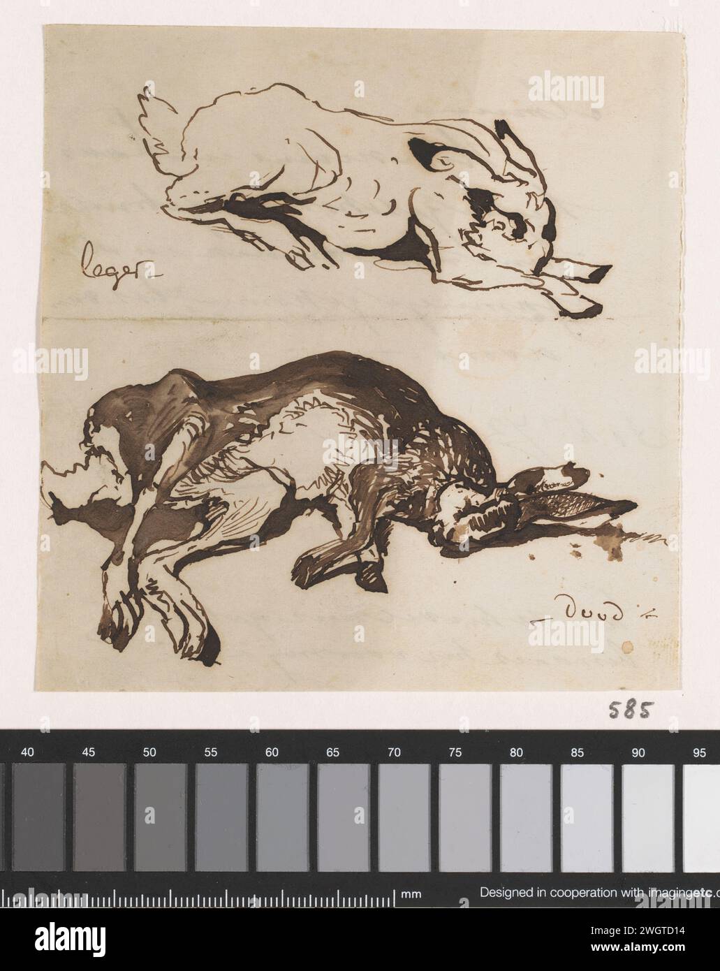 Two studies of a Haas, Johannes Taventrate, 1872 - 1873 drawing Two ...