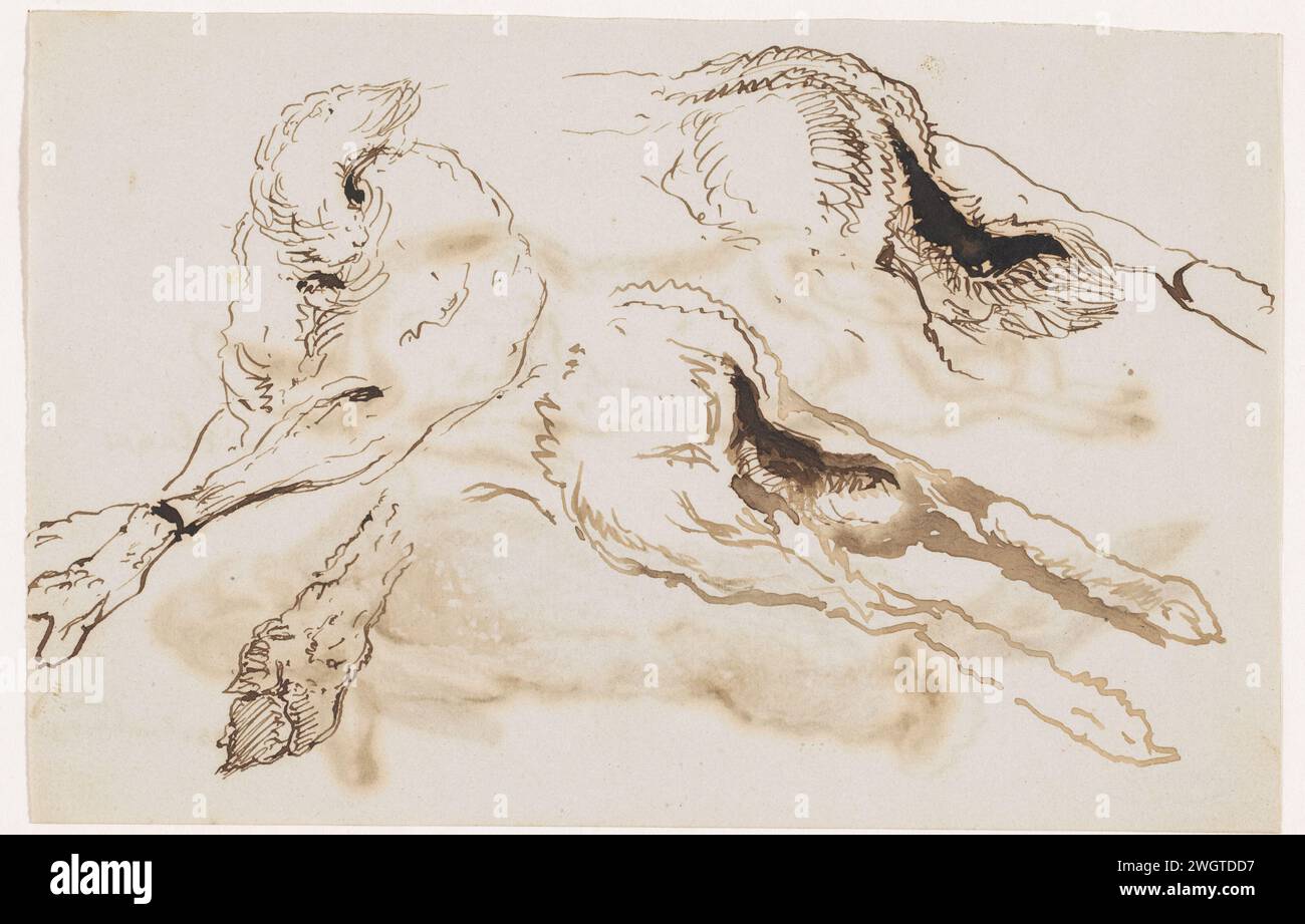 Studies of the hind legs of a Dead Haas, Johannes Taventrate, 1840 ...