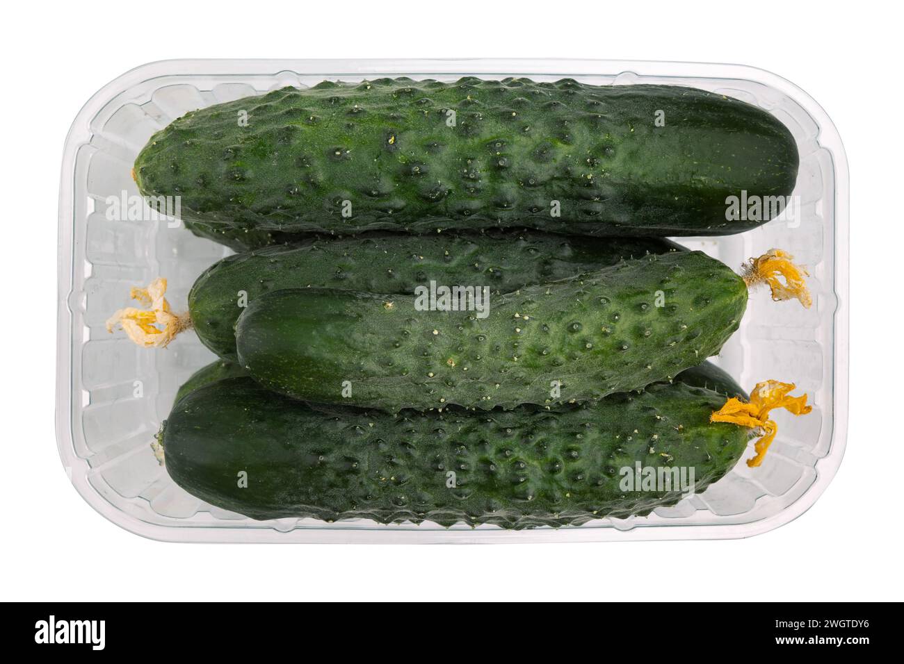 fresh cucumbers in container isolated on white background with clipping ...