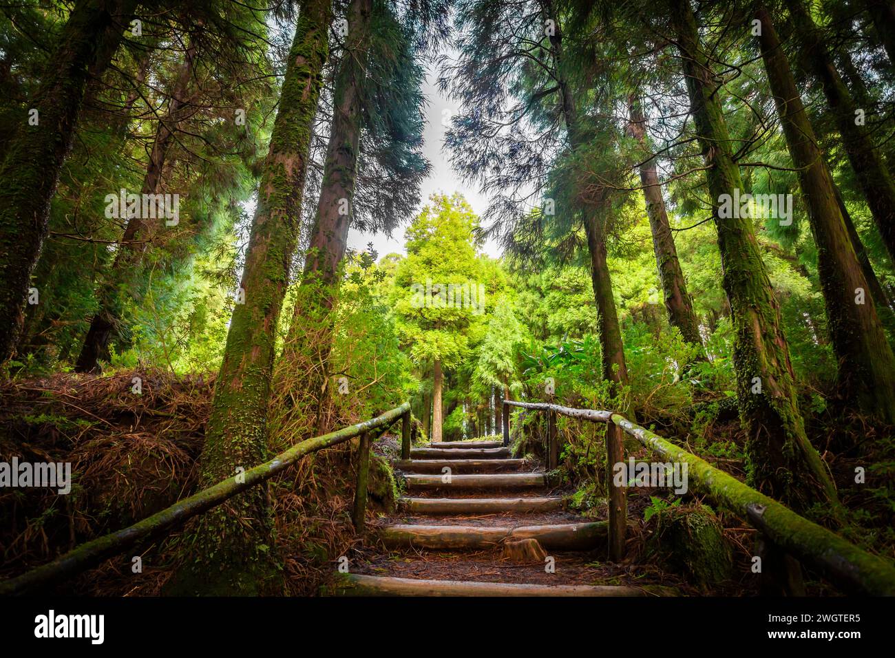 Landscapes from the beautiful island of São Miguel in the azores ...