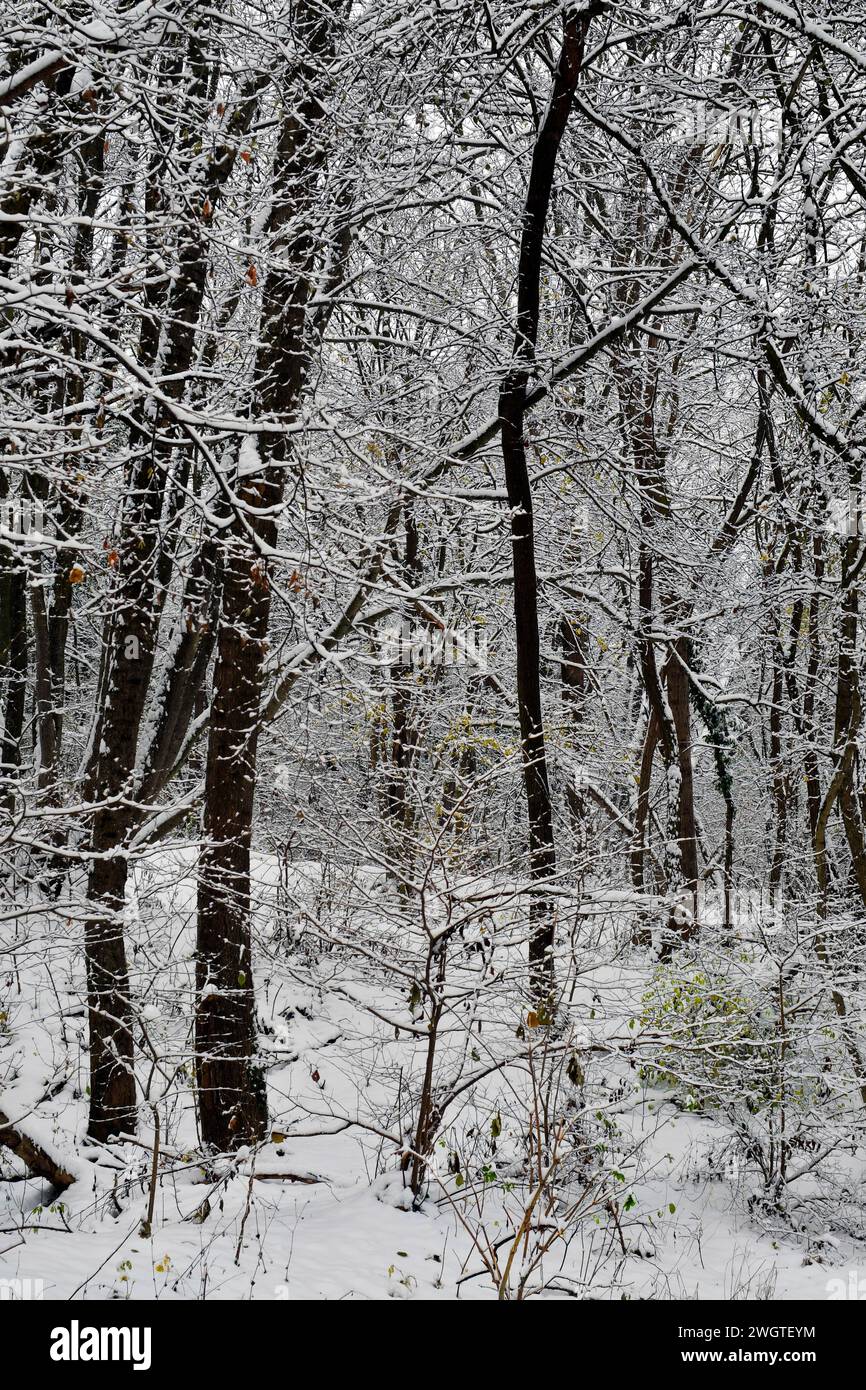 Mannersdorf wueste nature reserve hi-res stock photography and images ...