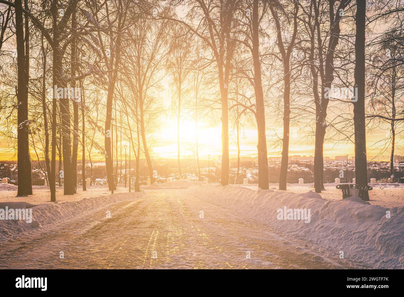 Sunset or dawn in a winter city park with benches and sidewalks covered ...