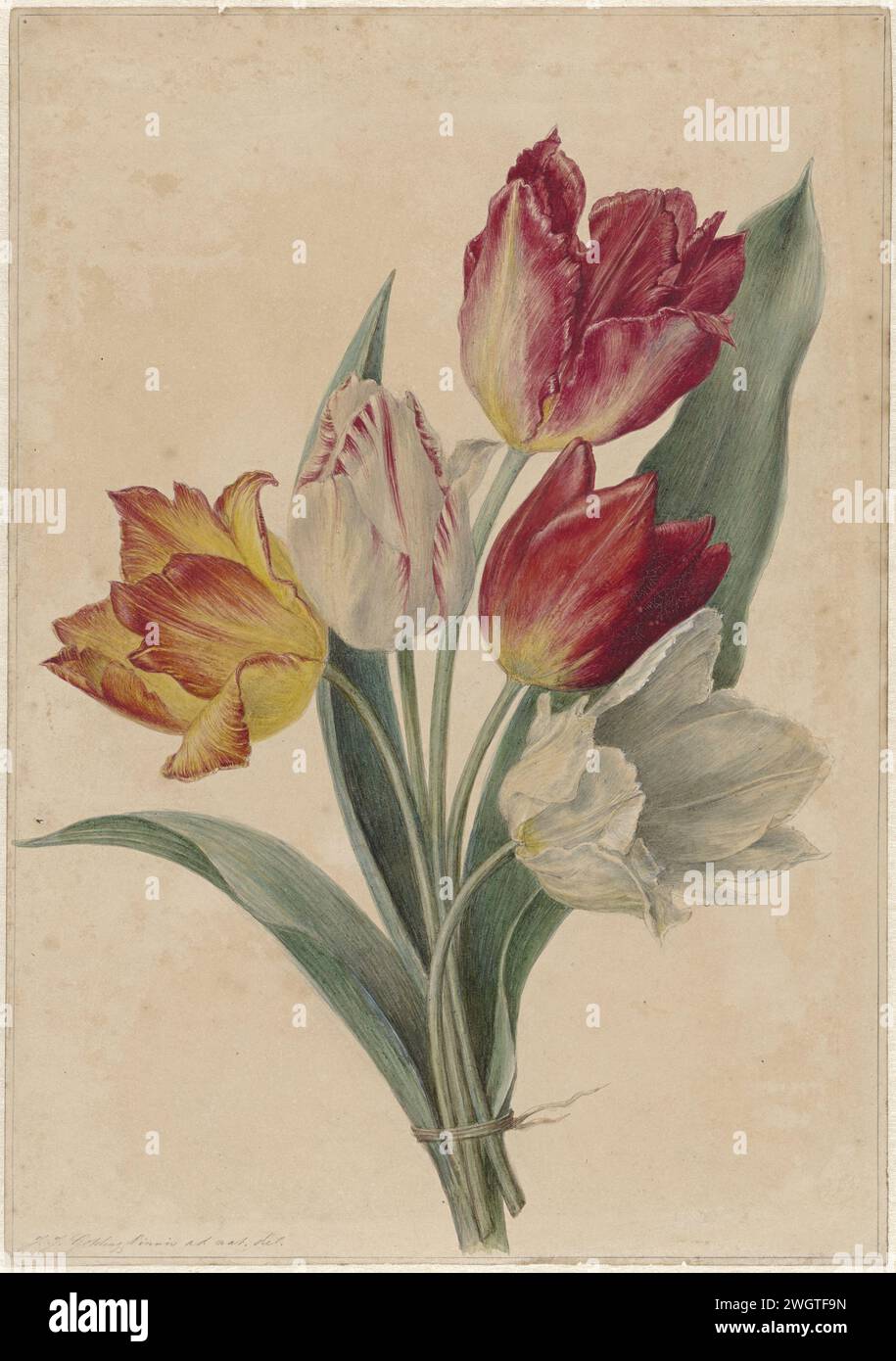 Vinnis jan jacob goteling hi-res stock photography and images - Alamy