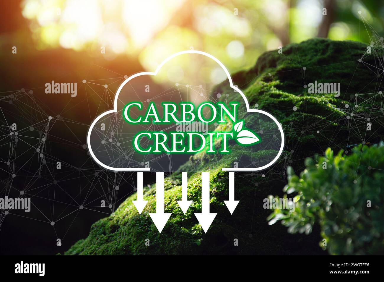 Carbon credit or CO2 trading market. Carbon tradable certificates for ...