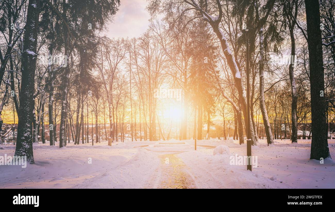 Sunset or dawn in a winter city park with benches and sidewalks covered ...