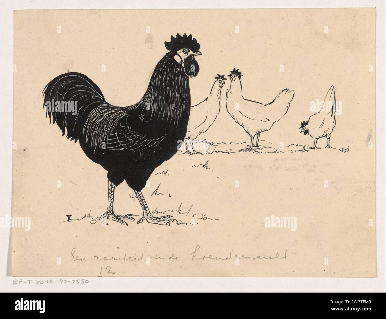 Hoenders, Henri Verstijnen, 1892 - 1940 drawing paper. ink. pencil pen ...