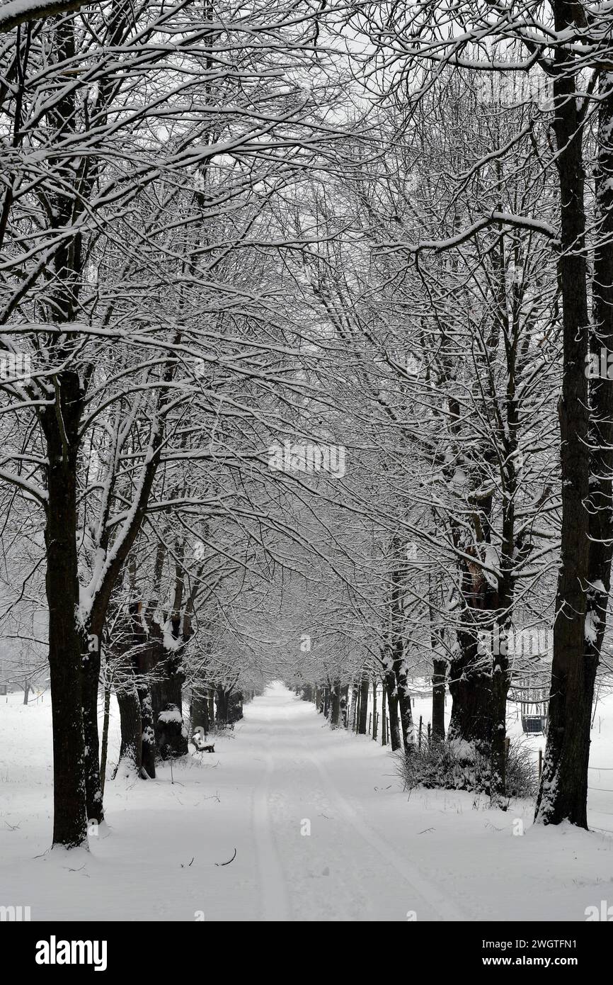 Austria, Winter landscape with deep snow-covered hiking trail in the ...
