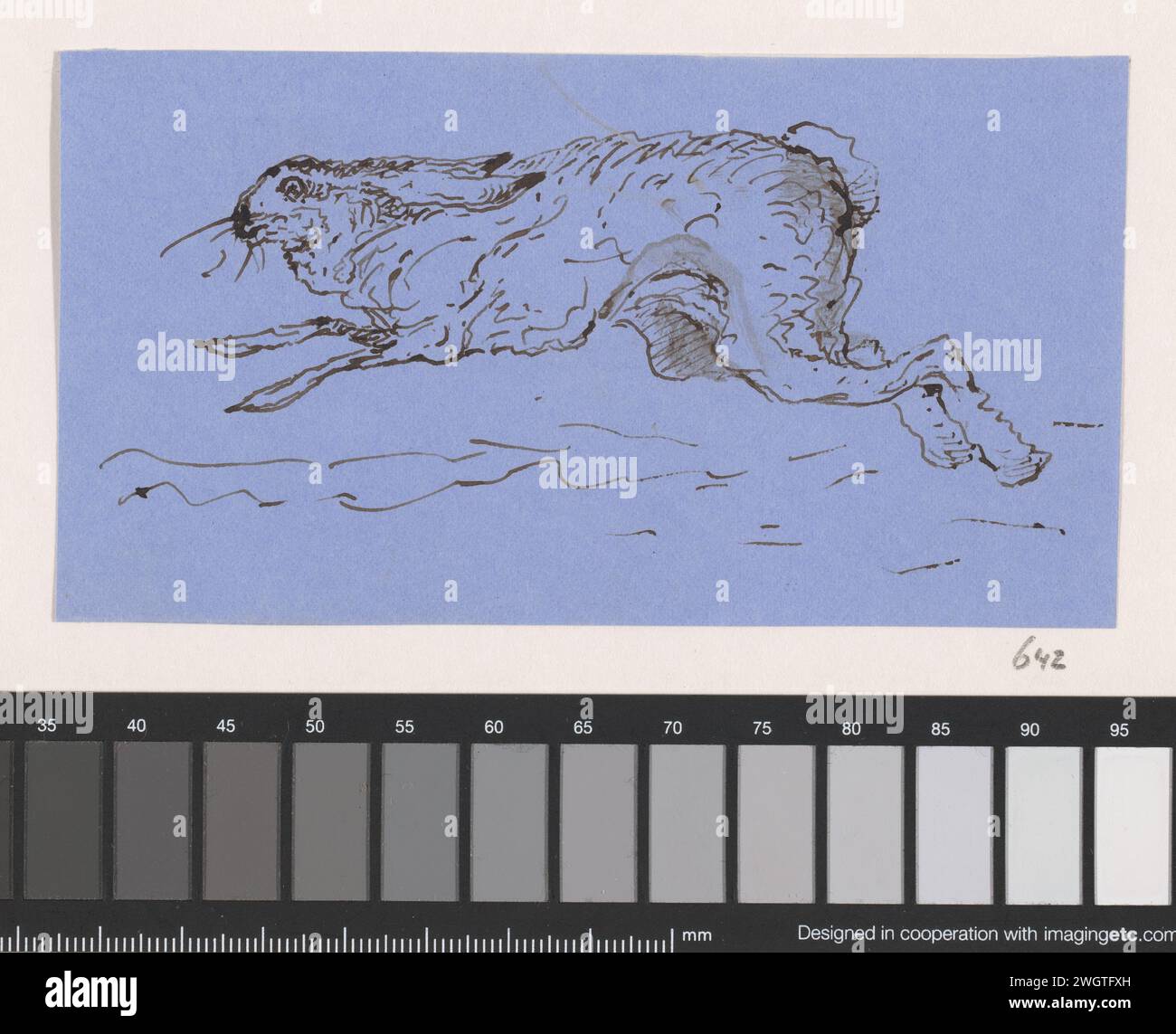 Haas, Johannes Taventrate, 1840 - 1880 drawing paper. ink pen rodents ...