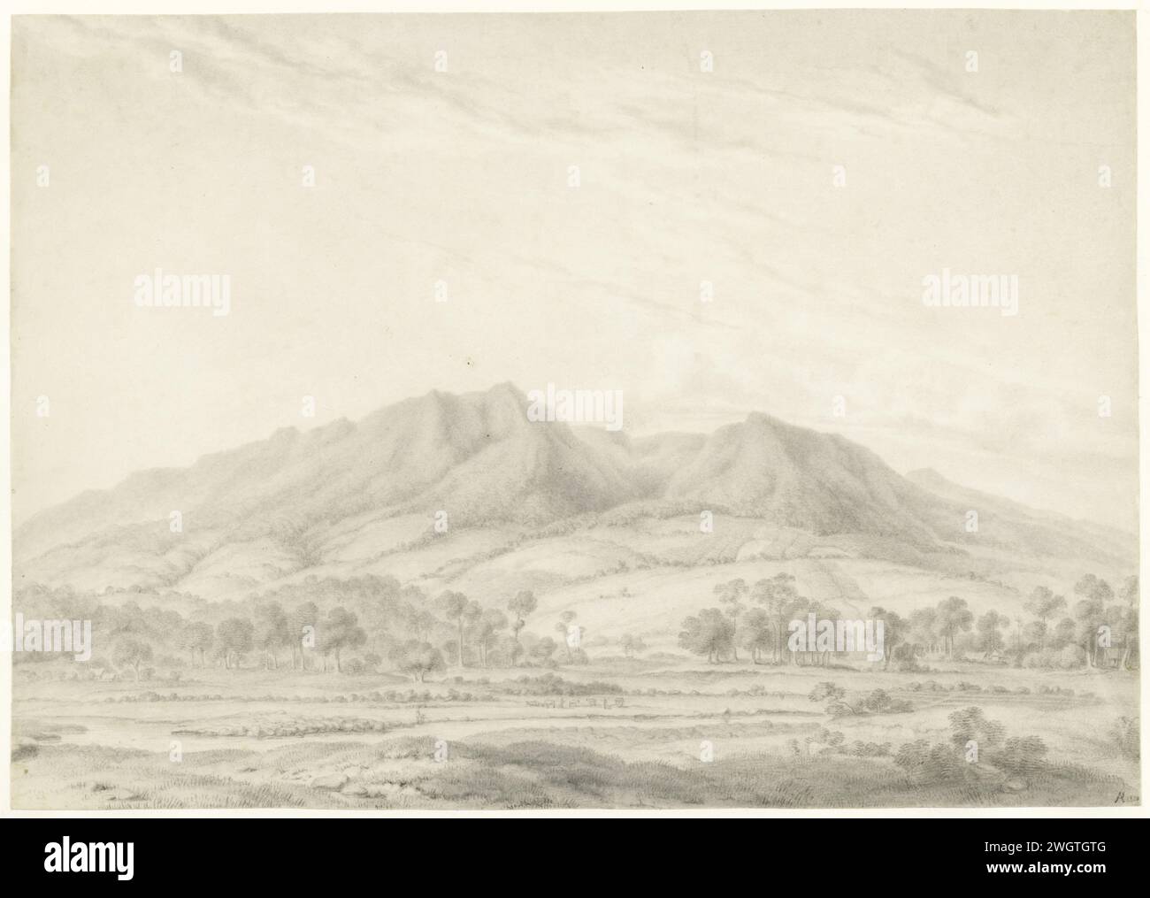 Salak drawing hi-res stock photography and images - Alamy