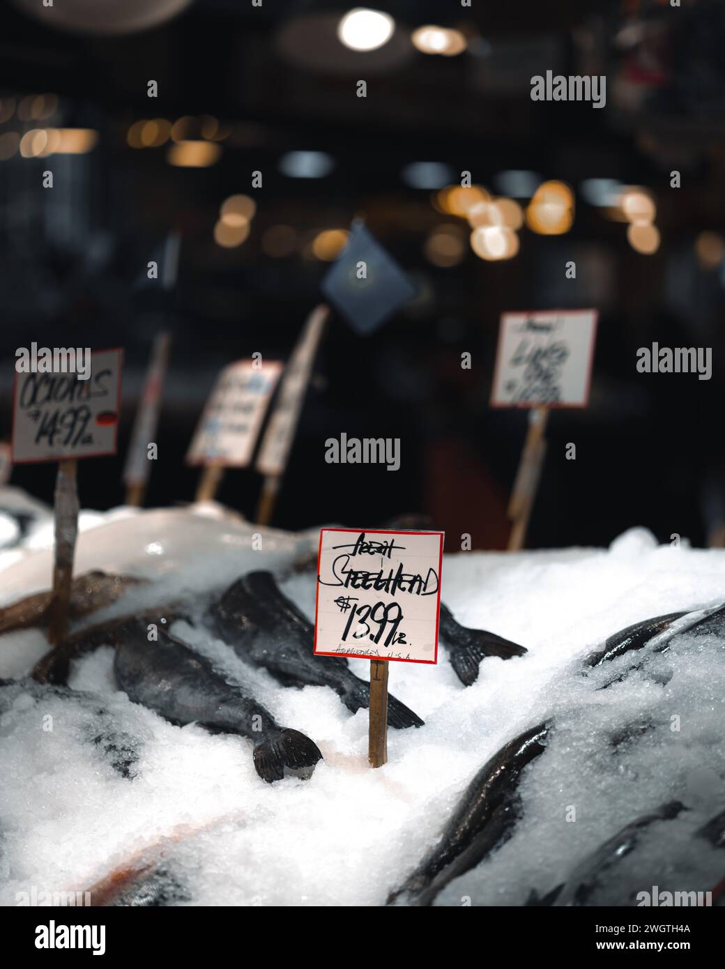 Display of fresh fish hi-res stock photography and images - Alamy