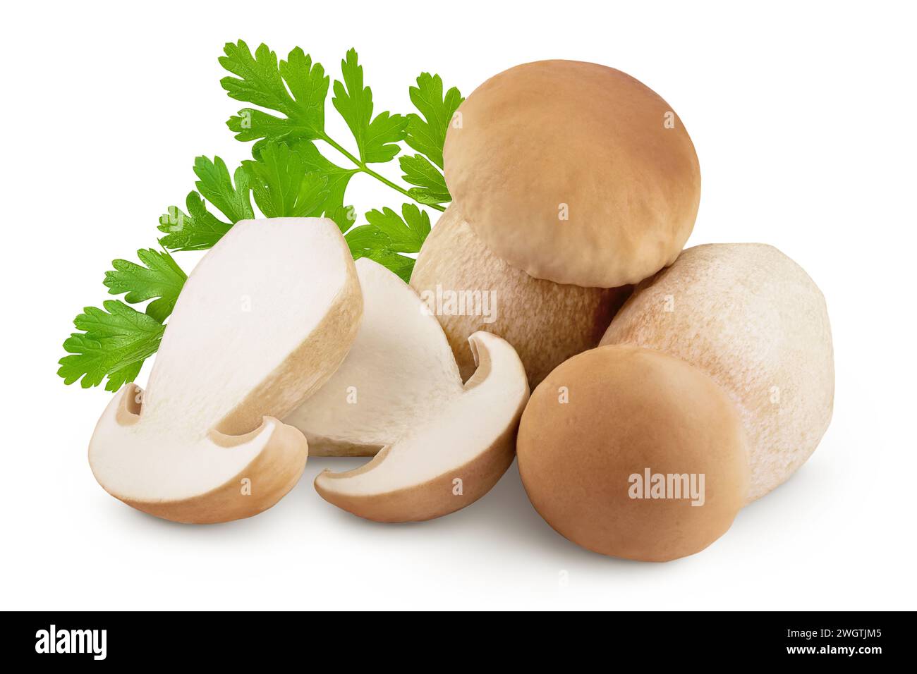 Fresh porcini cep mushroom isolated on white background with full depth ...