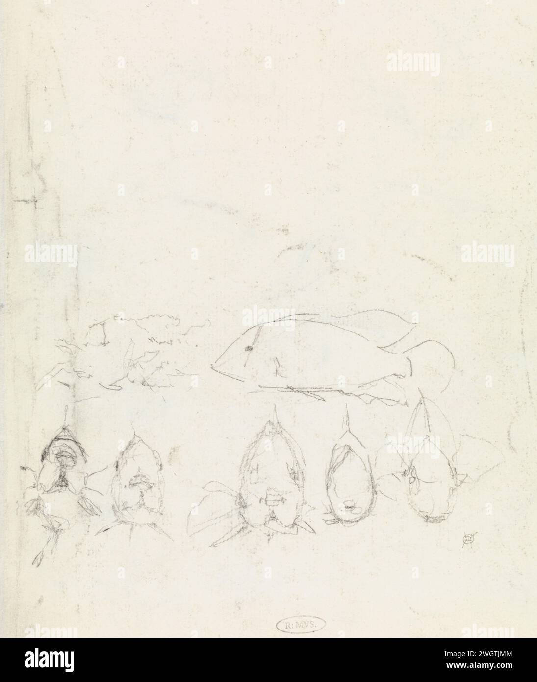 Studies van Vissen, from Before, Gerrit Willem Dijsselhof, 1876 - 1924 ...