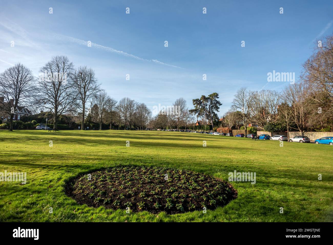 Muster green hi-res stock photography and images - Alamy