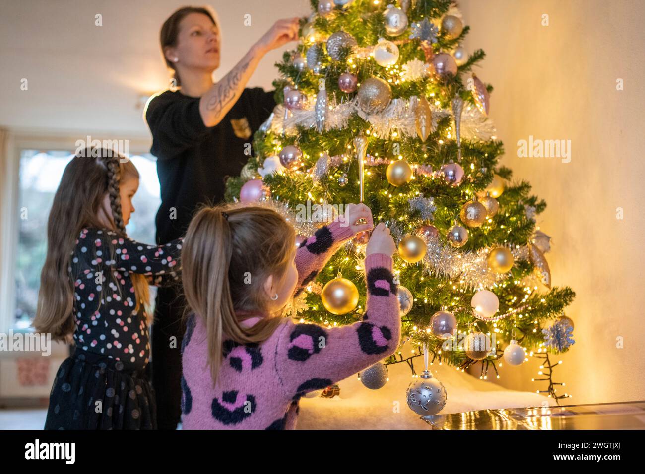 Tree bonding hi-res stock photography and images - Alamy