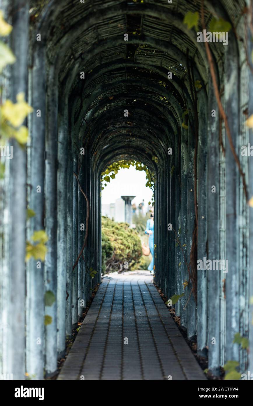 green garden arch with lush foliage, archway path at park Stock Photo ...