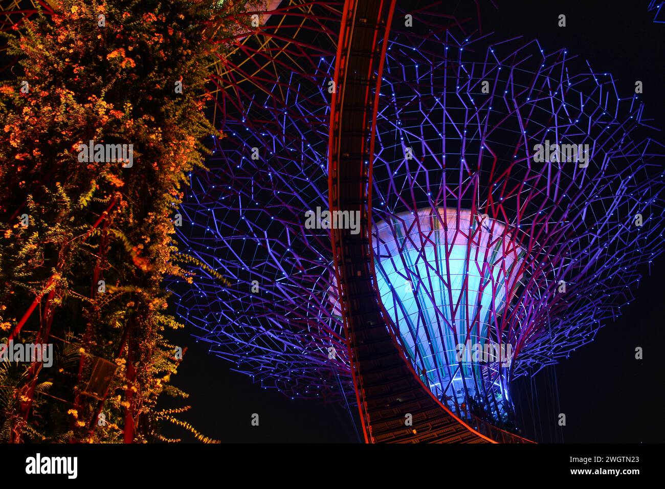 A bottom up view of the iconic supertrees structure at the gardens by ...
