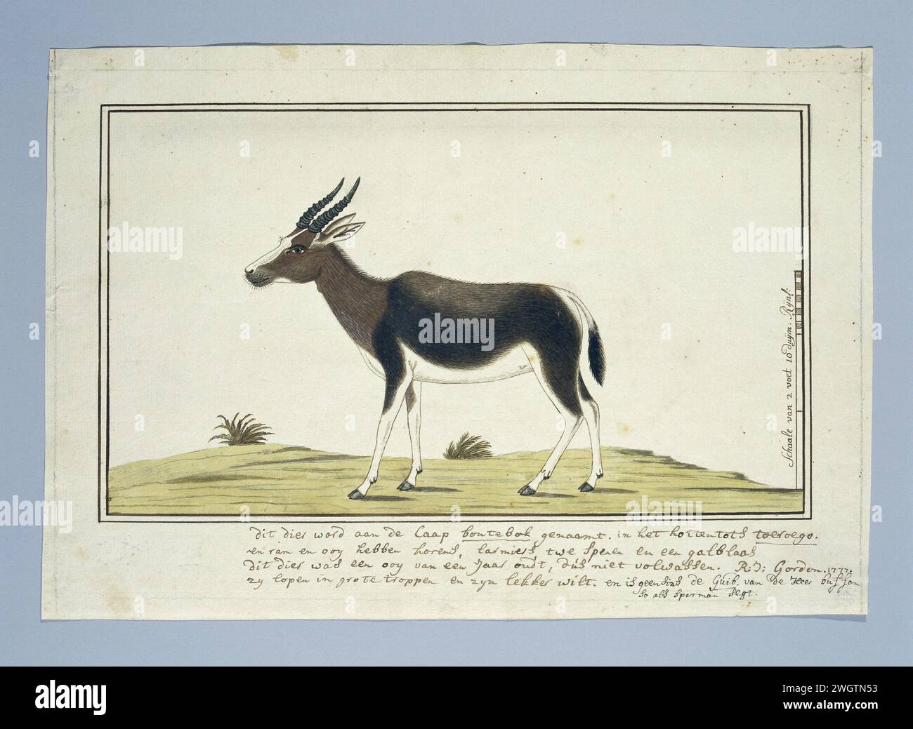 Scale of maat hi-res stock photography and images - Alamy