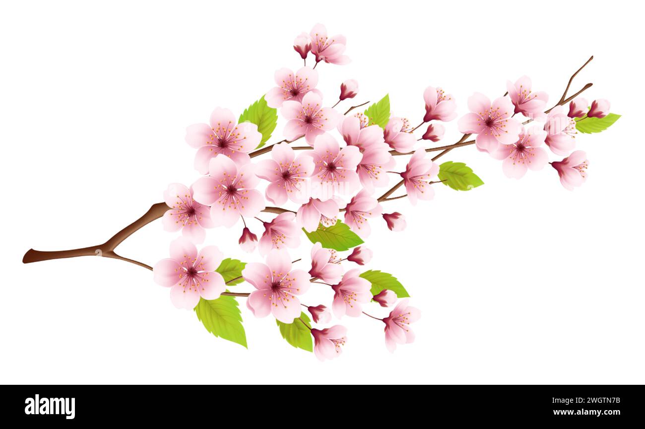 Realistic pink blossoming spring Cut Out Stock Images & Pictures - Alamy