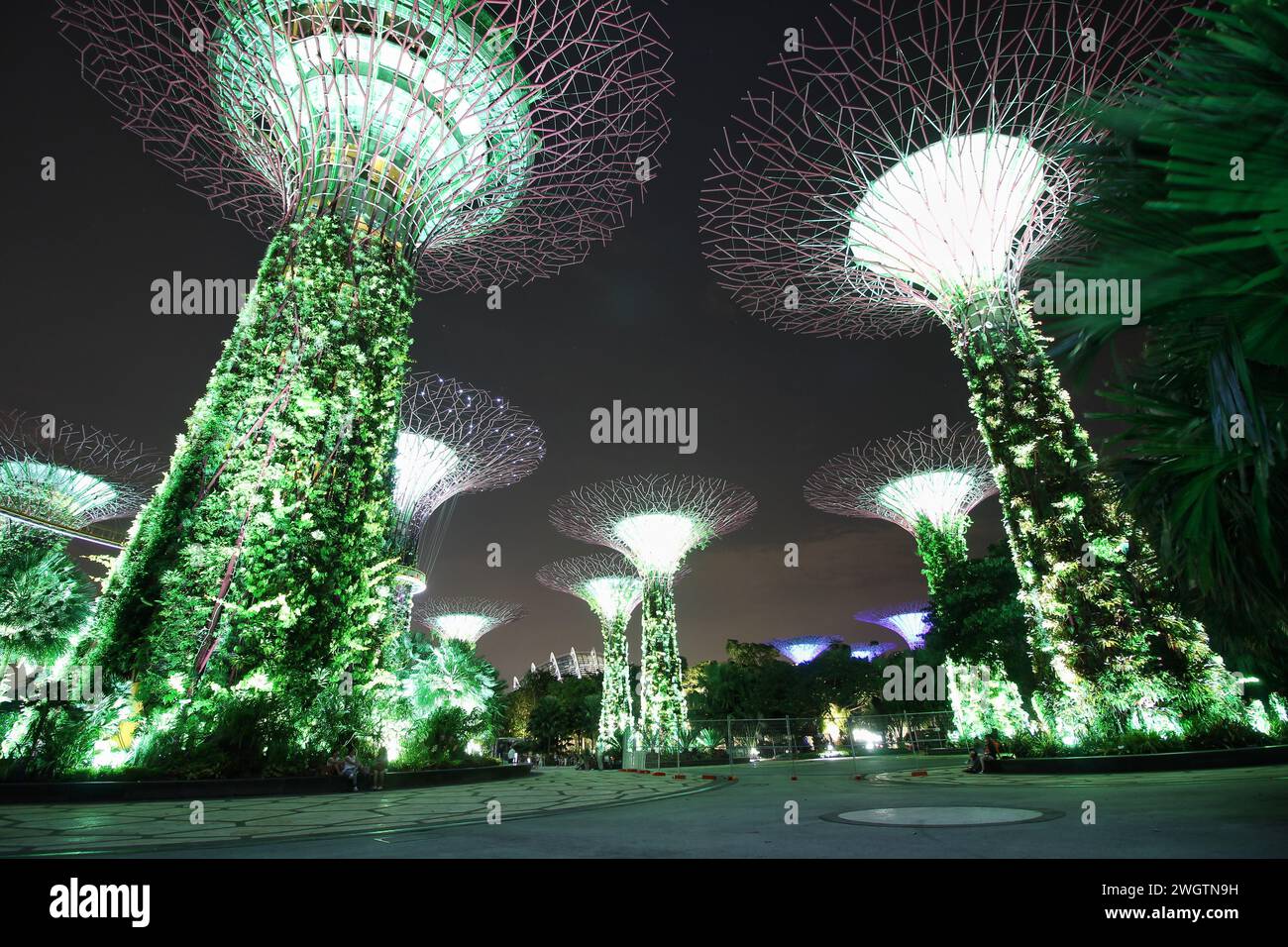 A spectacular night photography wide angle view of the fully ...