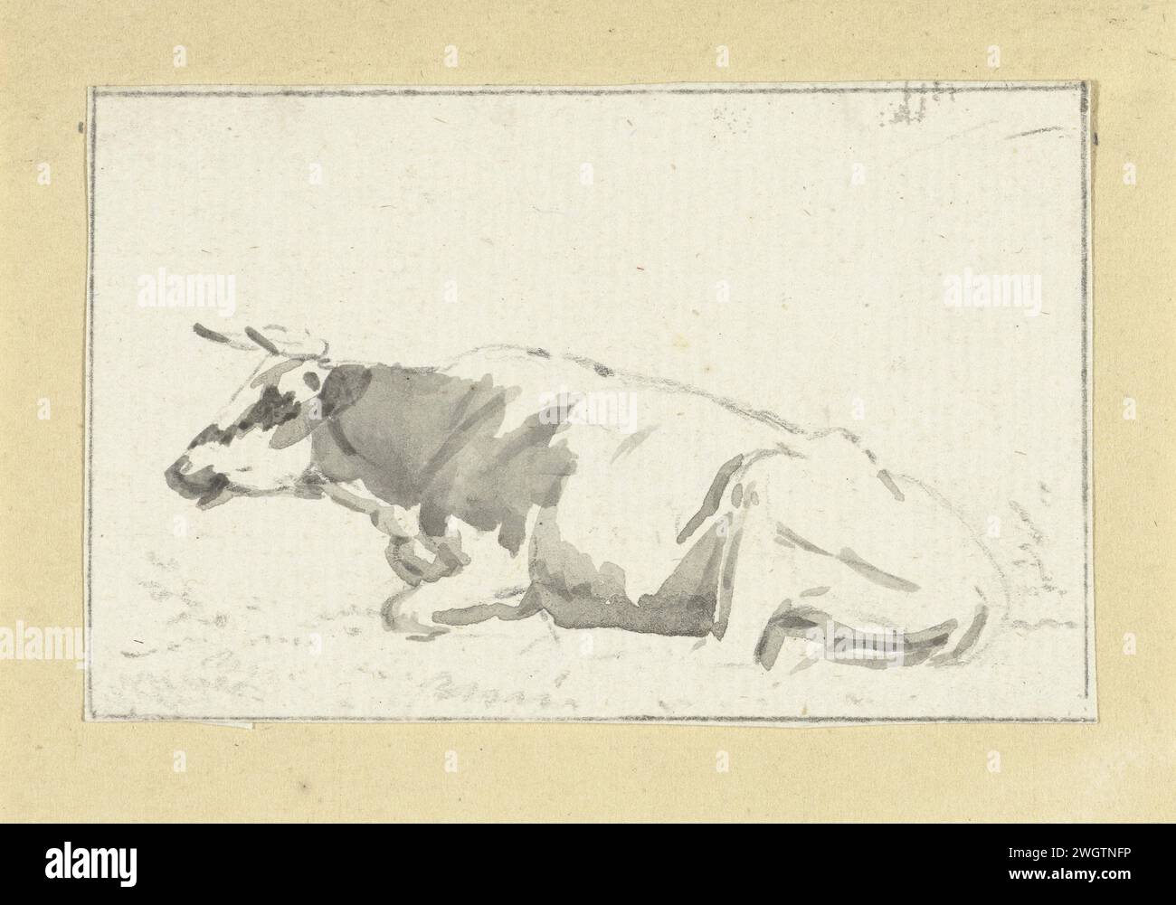 Lying cow, to the left, Pieter Gaal, 1779 - 1819 drawing paper. chalk ...