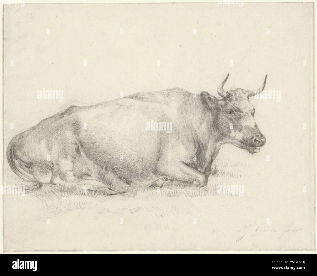 Lying cow, to the right, Pieter Jan Guise, 1824 - 1859 drawing paper ...