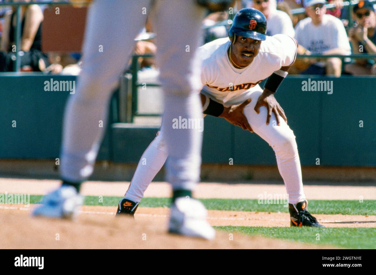 Barry Bonds takes a lead off first base in Spring Training, Scottsdale ...