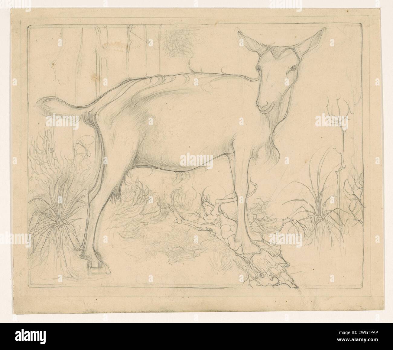 Goat on a tree trunk, Jan Mankes, 1899 - 1920 drawing cardboard. pencil ...