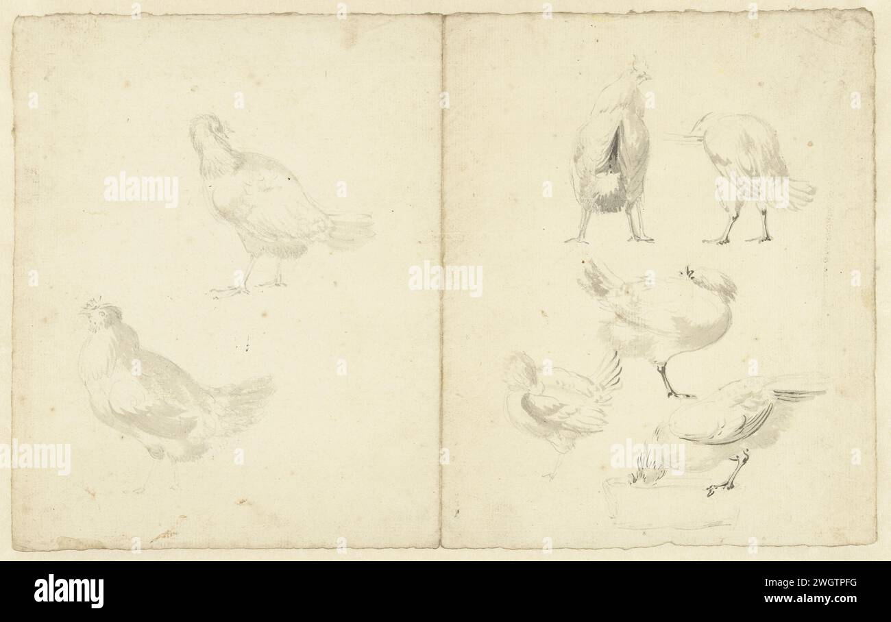 Study sheet with seven chickens, Aert Schouman, 1720 - 1792 drawing ...