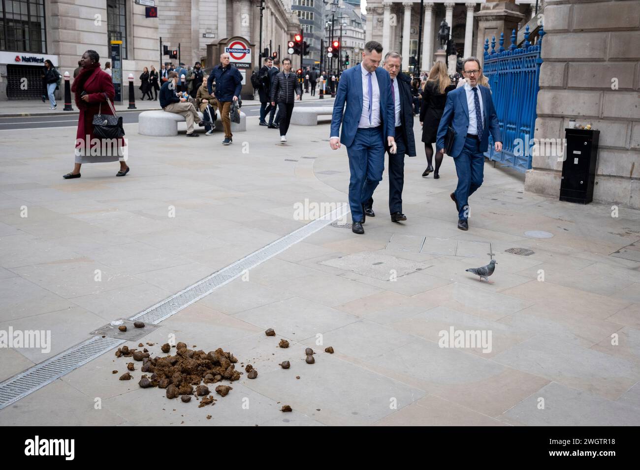 Members of the public walk around manure dropped by a City Police horse ...