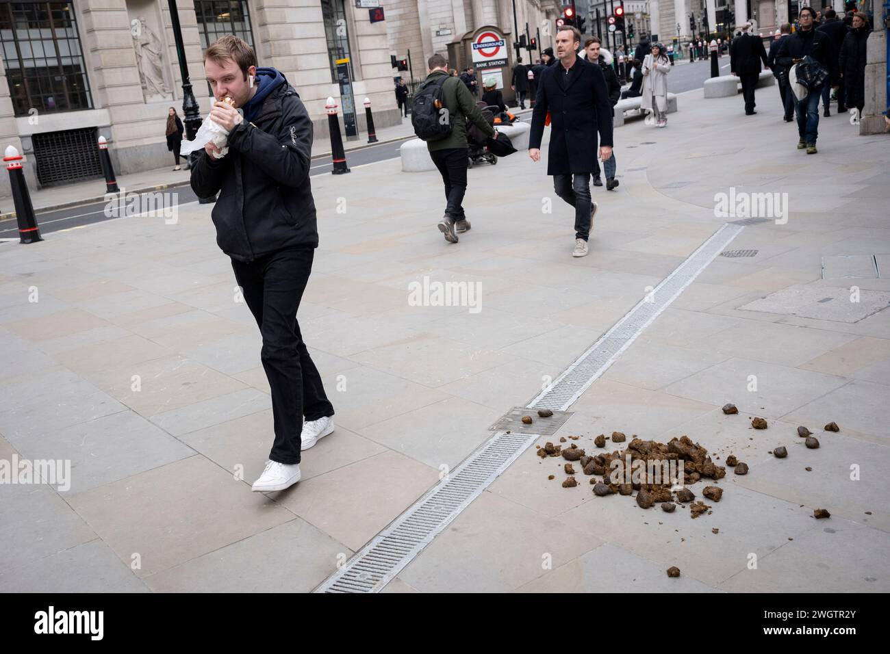 Members of the public walk around manure dropped by a City Police horse ...