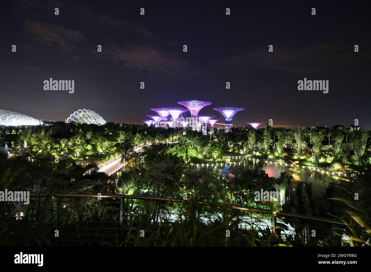 Illuminated spectacular night time view of the Flower Dome,Cloud Forest ...