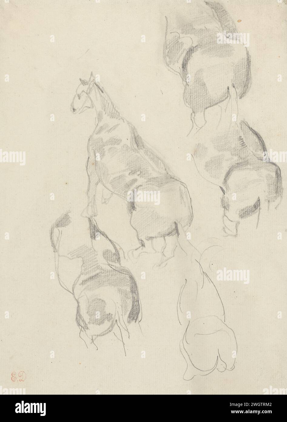 Five studies of a horse, seen from a window, diagonally from behind ...