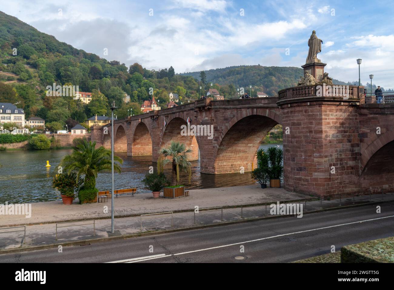 walking along the long neckar river Stock Photo - Alamy
