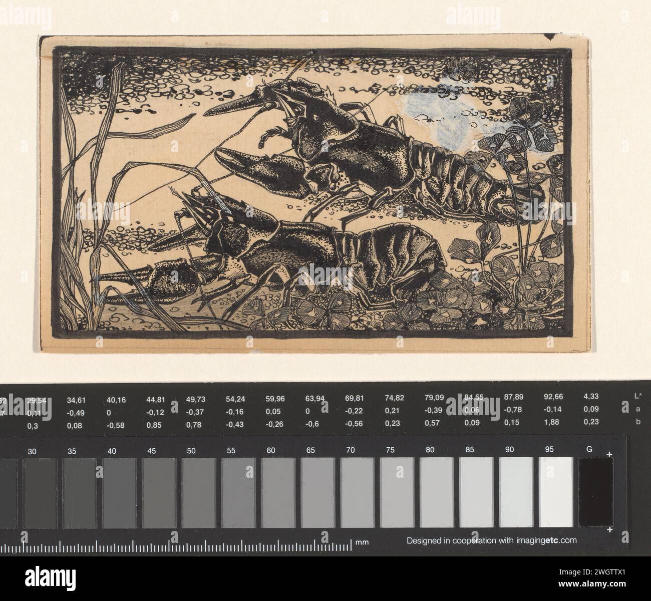 Two lobsters, Julie de Graag, 1887 - 1924 drawing paper. ink. deck ...