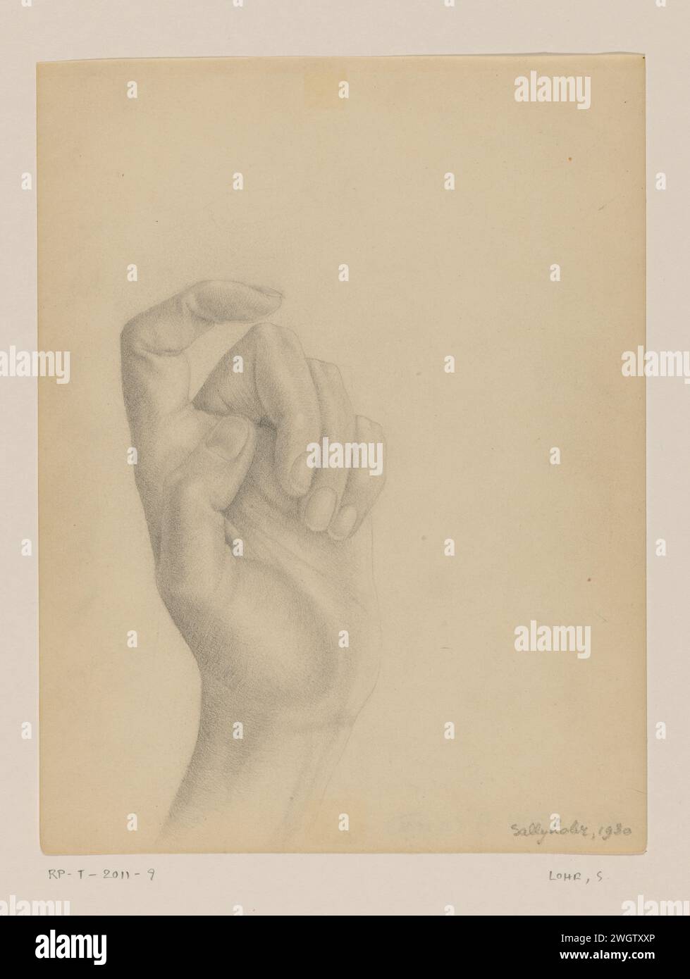 Anatomical drawing hand hi-res stock photography and images - Alamy