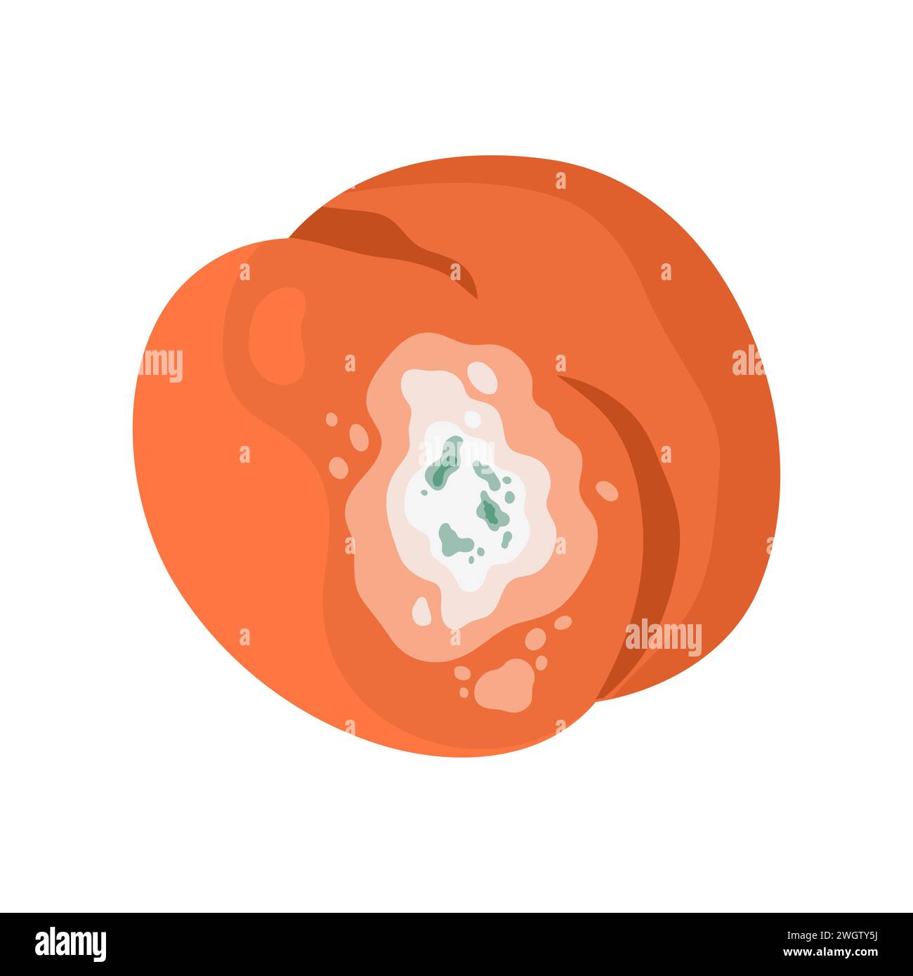 Old rotten peach fruit. Bad unhealthy food from kitchen, moldy expired ...